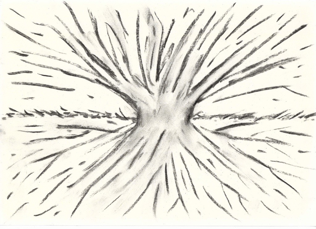 Graham Burnett’s Activity Sheet - Focal Point Gallery