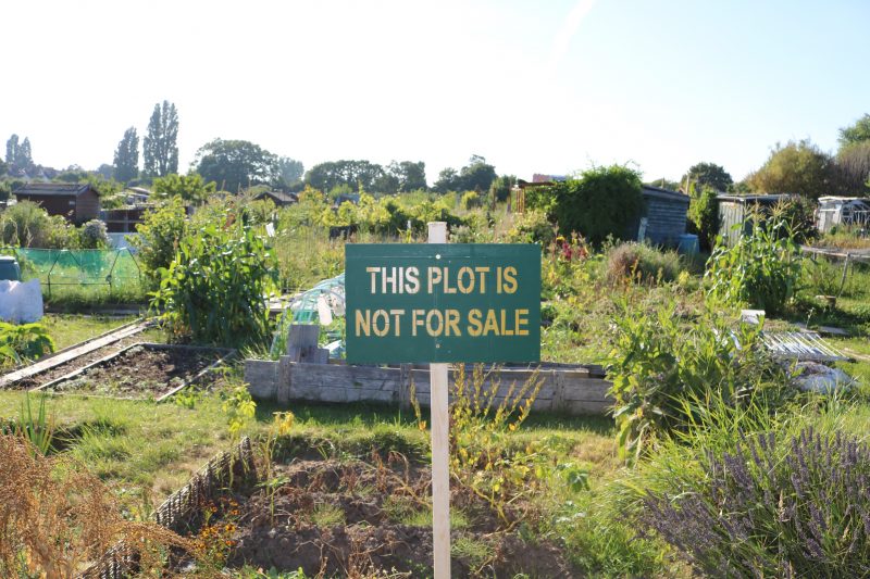 Contemporary Elders – PLOT: The Peoples’ Landscape - Focal Point Gallery