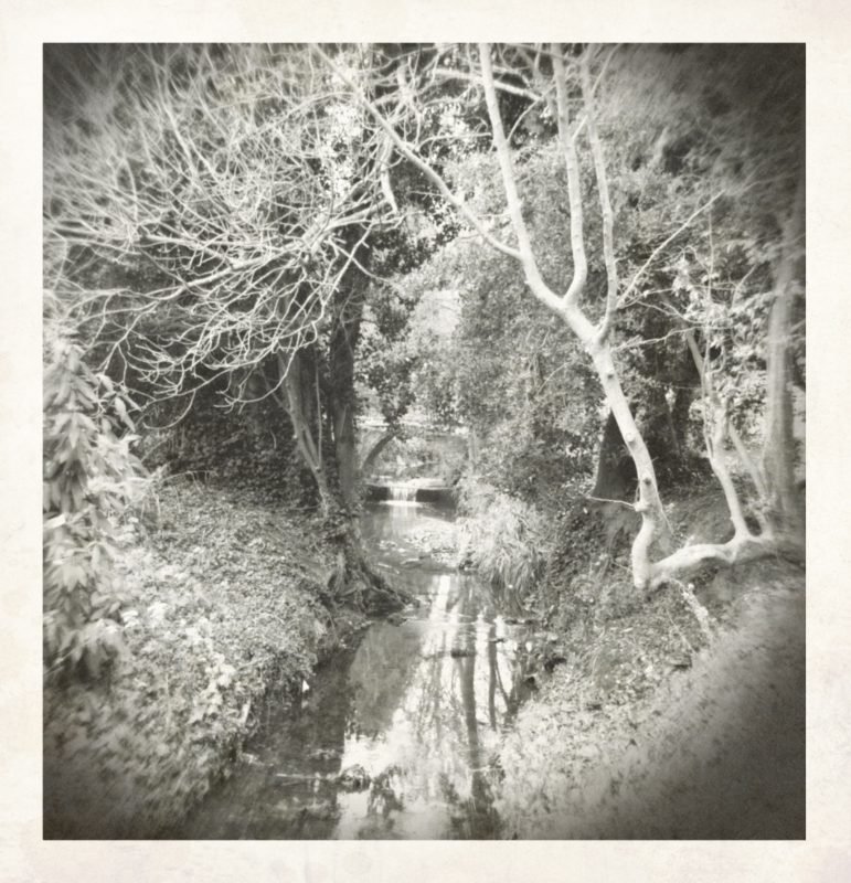 Adrian Lane - Focal Point Gallery