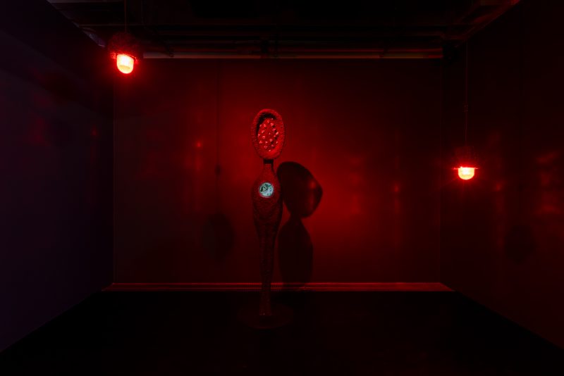 Poulomi Basu - Focal Point Gallery